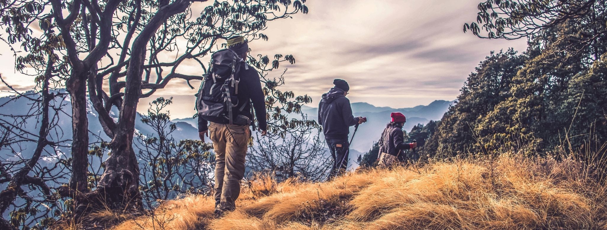 Top 4 Hikes in the DMV - Release Physical Therapy